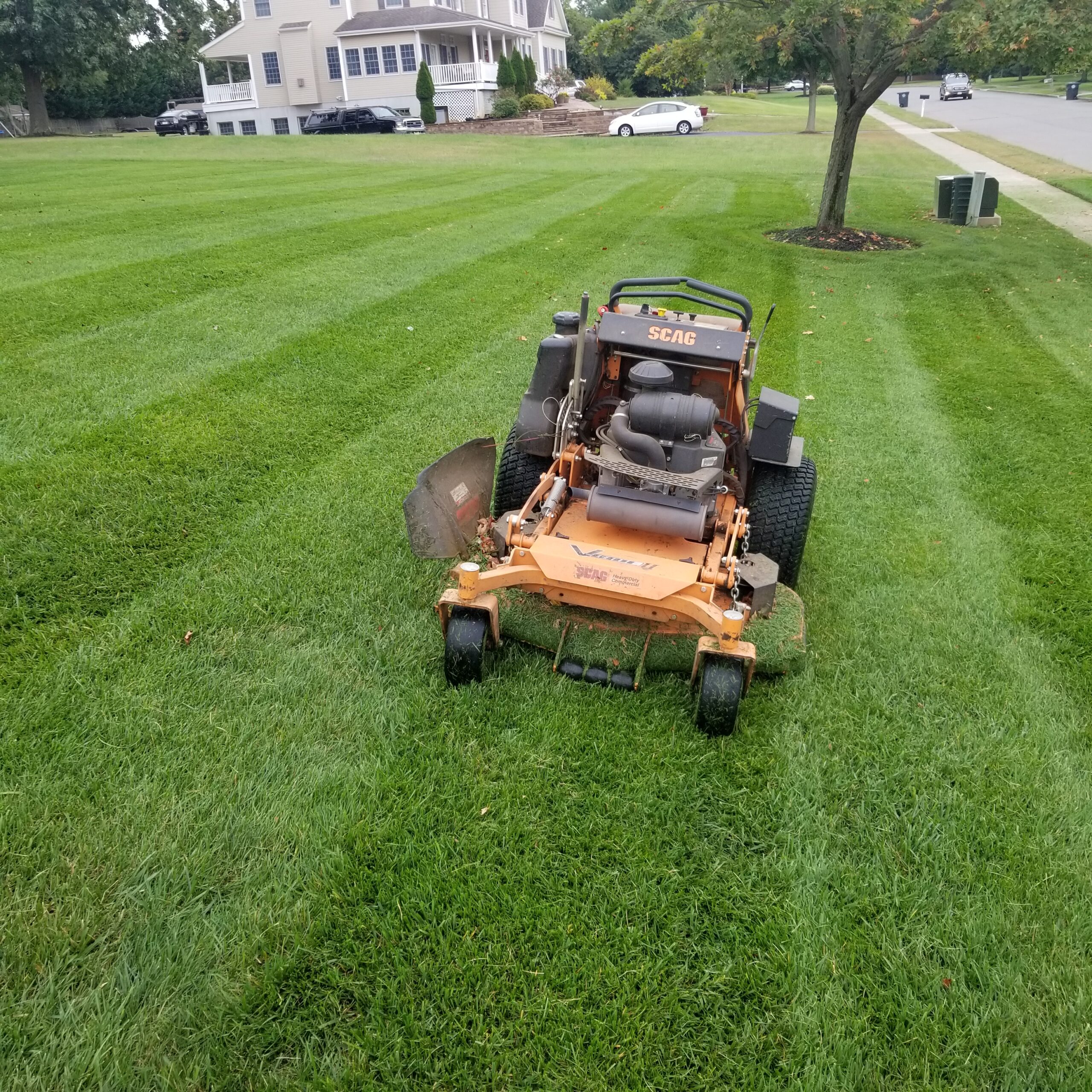 Weekly Lawn Maintenance & Care - Casselli Lawn & Landscape Co.